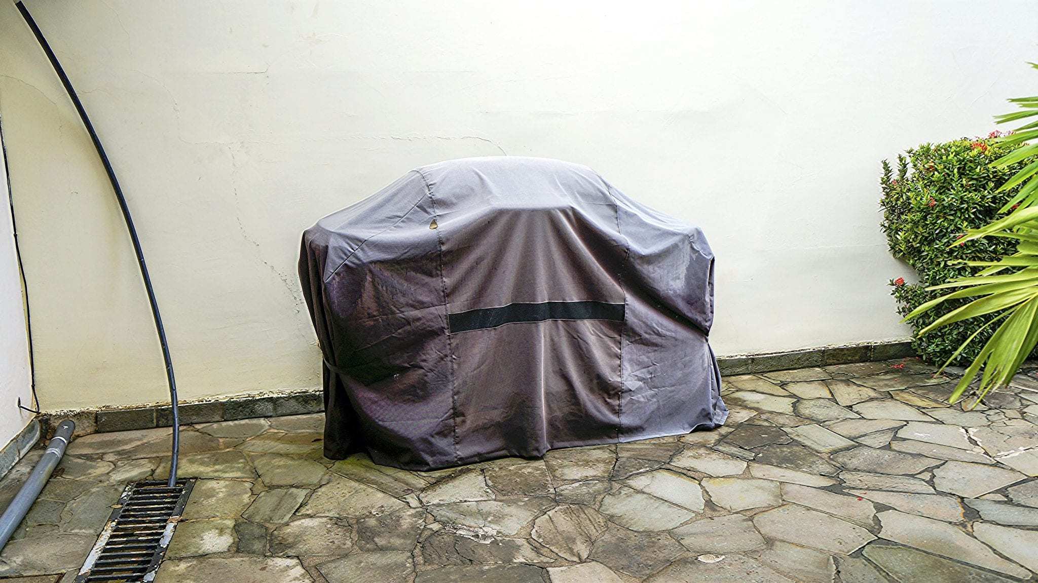 CW - COMMON AREAS - Tamarindo House Rentals - Casa Wasabi