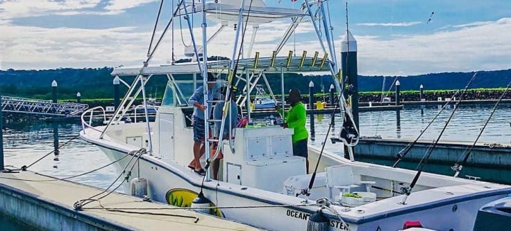 MARINA PAPAGAYO - Casa Wasabi